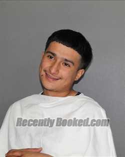 Recent Booking / Mugshot for DAMYAN OCHOA in Ellis County, Texas