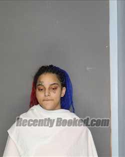 Recent Booking / Mugshot for BREEONUH TRACELL ANDERSON in Ellis County ...