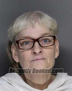 Recent Booking / Mugshot for LISA ANNETTE CRAIG in Ellis County, Texas