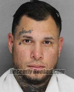 Recent Booking / Mugshot for KRISTOPHER SANTIAGO DELOURDES in Ellis ...