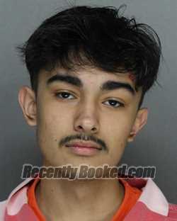 Recent Booking / Mugshot for ETHAN PHILLIP OLVERA in Ellis County, Texas