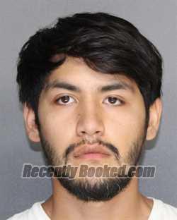 Recent Booking / Mugshot for ABRAHAM CHAGOYA REYNA in Ellis County, Texas
