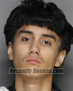 Recent Booking / Mugshot for ADRIAN SANCHEZ in Ellis County, Texas