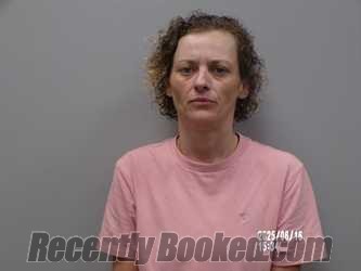 Recent Booking / Mugshot for Amanda Brooke Scott in Dickenson County ...