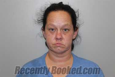 Recent Booking / Mugshot for Casey Amber Nickels in Dickenson County ...