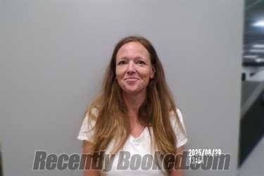 Recent Booking / Mugshot for Kelly Anne Gotham in Dickenson County ...