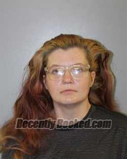 Recent Booking / Mugshot for MEGAN ELIZABETH BURCHETT in Dickenson ...