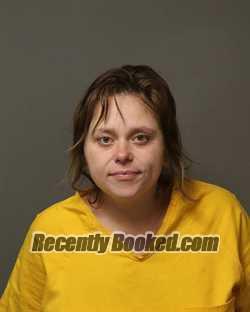 Recent Booking / Mugshot for DESTANY SHYANN CHEEK in Grayson County ...