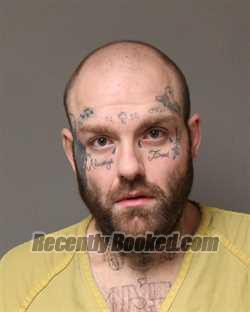 Recent Booking / Mugshot for MICHAEL LEE MINNIX in Grayson County, Virginia