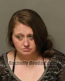 AMANDA MICHELLE SPURLOCK Arrest Record & Booking Info – Grayson County ...