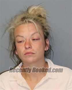 Recent Booking / Mugshot for SHANNON RENEE CALDWELL in Grayson County ...