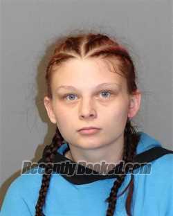 Recent Booking / Mugshot for HALEY DANIELLE SHUMATE in Grayson County ...