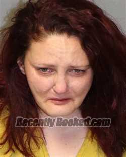 Recent Booking / Mugshot for JESSICA LYNN DOBBINS in Grayson County ...