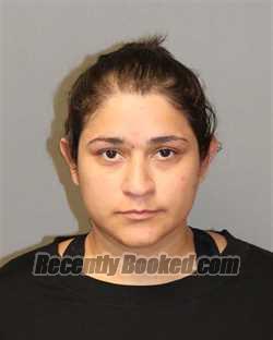 Recent Booking / Mugshot for SHEENA MARIA HERNANDEZ in Grayson County ...