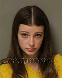 Recent Booking / Mugshot for HALEY DAWN SHEPHERD in Grayson County ...