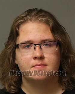 Recent Booking / Mugshot for SARAH ELIZABETH LOVINGOOD in Grayson ...