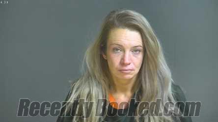 Recent Booking / Mugshot for CRISTINA NICOLE BAKER in Halifax County ...
