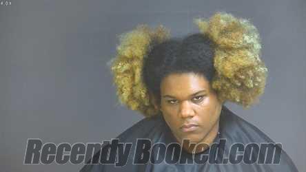 Recent Booking / Mugshot for ERIC MILLER in Halifax County, Virginia