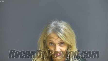 Recent Booking / Mugshot for JANICE ALVAREZ PHILLIPS in Halifax County ...