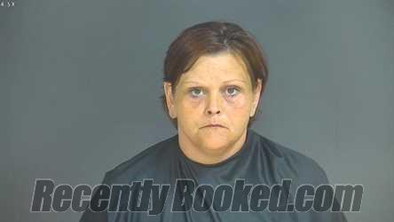 Recent Booking / Mugshot for STEPHANIE WAYNE POWELL in Halifax County ...