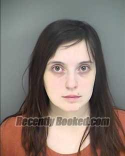 Recent Booking / Mugshot for HEATHER RACHAEL BUSHMAN in Henrico County, Virginia