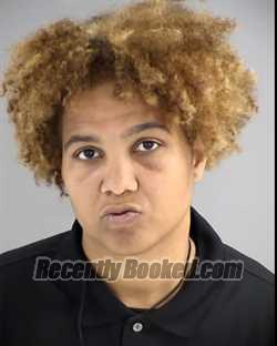 Recent Booking / Mugshot for MERCEDES LYNN BRAXTON in Henrico County ...