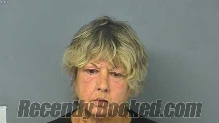 Recent Booking / Mugshot for DAWN NOEL PEDERSEN in James City County ...