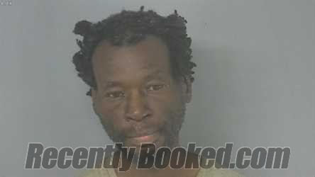 Recent Booking / Mugshot for LEONARDO LEE SALTER in James City County ...