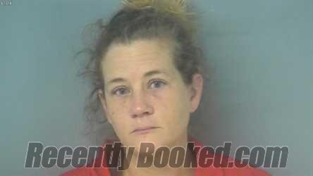 Recent Booking / Mugshot for MORGAN CHAUVIN LUNSFORD in James City ...