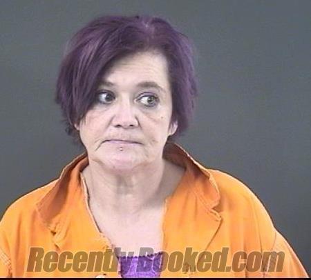 Recent Booking / Mugshot for Toni Michelle Webster in Roanoke County ...