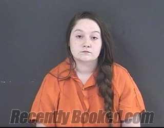 Recent Booking / Mugshot for Bree-Ellen Leigh Lynch in Roanoke County ...