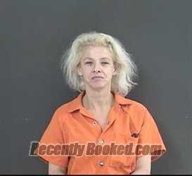 Recent Booking / Mugshot for ANGELA MARIE HOLDREN in Roanoke County ...
