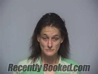 Recent Booking / Mugshot for DIANE NICOLE LOTT in Roanoke County, Virginia