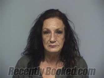 Recent Booking / Mugshot for LEESA LEE RHODES in Roanoke County, Virginia