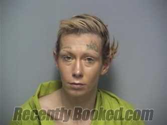 Recent Booking / Mugshot for KYLA BRIANNA DONOHO in Roanoke County ...
