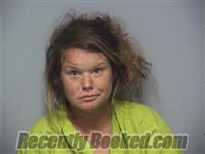 Recent Booking / Mugshot for TIFFANY NICOLE MAYHEW in Roanoke County ...