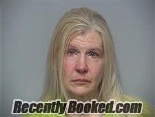 Recent Booking / Mugshot for MICHELLE MARIE JOHNSON in Roanoke County ...