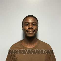Recent Booking / Mugshot for QUANTICE MARTAVION DILLARD in Roanoke ...