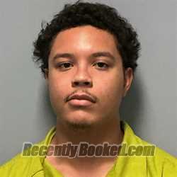 Recent Booking / Mugshot for GAVIN REESE HAMILTON in Roanoke County ...