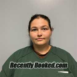 AVIE LEE JOHNSON Arrest Record & Booking Info – Roanoke County ...