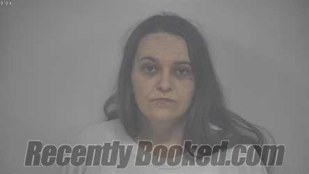 Recent Booking / Mugshot for ANGEL MARIE HOWDYSHELL in Rockbridge ...