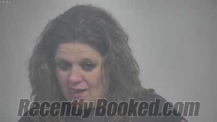 Recent Booking / Mugshot for ANGEL MARIE ROWE in Rockbridge County ...