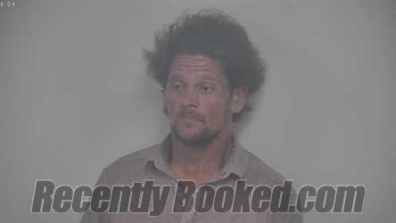 Recent Booking / Mugshot for BENJAMIN TYLER HARDING in Rockbridge ...