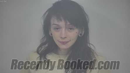 Recent Booking / Mugshot for DELILAH DAWN NOLEN-COOPER in Rockbridge ...