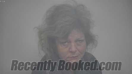 Recent Booking / Mugshot for MELANIE JEAN HARLESS in Rockbridge County ...