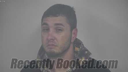 Recent Booking / Mugshot for SHANE JEREMY FERGUSON in Rockbridge County ...