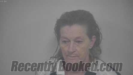 Recent Booking / Mugshot for STACEY DAWN MCDANIEL in Rockbridge County ...