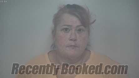 Recent Booking / Mugshot for TAMMIE MARIE BURLEY in Rockbridge County ...