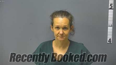 Recent Booking / Mugshot for ALEXANDRA MICHELLE KONSTANT in Rockingham ...