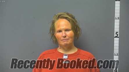 Recent Booking / Mugshot for JESSICA MAE CHRISMAN in Rockingham County ...